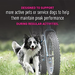 EUKANUBA Premium Performance 26/16 Exercise Small Bites Dry Dog Food 28 lb Bag