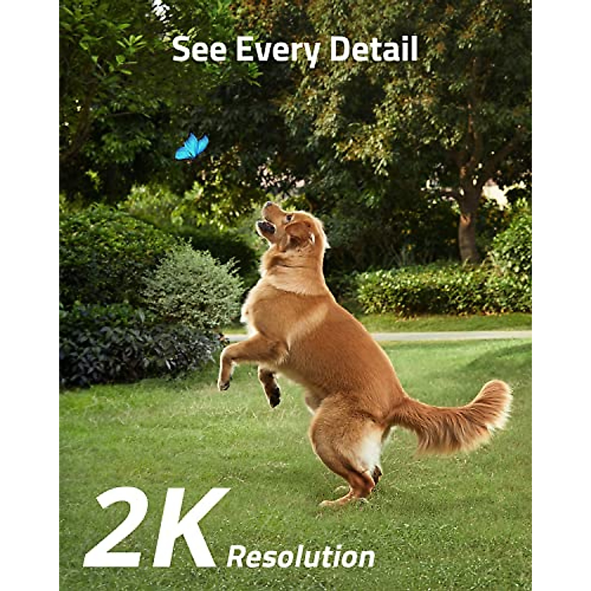 eufy security Outdoor S230 SoloCam S40, Solar Security Camera, Wireless Outdoor Camera, Battery Camera, Integrated Solar Panel, Spotlight Camera, 2K Resolution, 2.4 GHz Wi-Fi, No Monthly Fee, Motion Only Alert