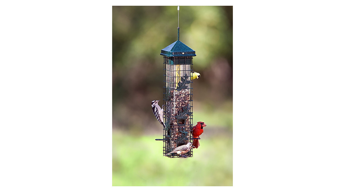 Squirrel Solution200 Squirrel-Proof Bird Feeder with 6 Ports
