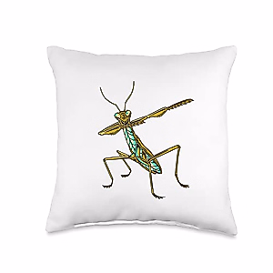 DK1 Designs Cool & Funny Mantis Insects Motives Prayer Motif Insect Throw Pillow, 16x16, Multicolor