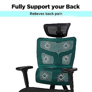 Kinna EK Ergonomic Office Chair, Home Office Mesh Chair with Adjustable 4D Headrest, 3D Armrest, Lumbar Support for Long Hours - High-Back Computer Chair with Tilt Function, 5-Year Warranty