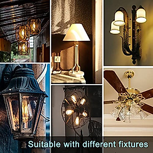 TJOY 12 Pack Vintage 8W ST58 LED Edison Light Bulbs 60W Equivalent, 800Lumens, 2700K Warm White, Dimmable, E26 Base LED Filament Bulbs, CRI80+, Antique Glass Style for Home, Bedroom, Office, Farmhouse