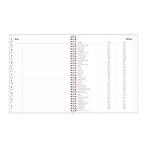 Blue Sky 2023 Weekly and Monthly Planner, January - December, 8.5" x 11", Frosted Cover, Wirebound, Joselyn (142079)