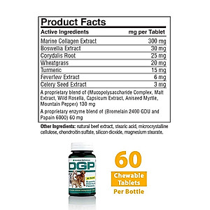 American BioSciences DGP and NK-9 Healthy Pet Joint and Immune System Support Bundle (1 Bottle of Each)