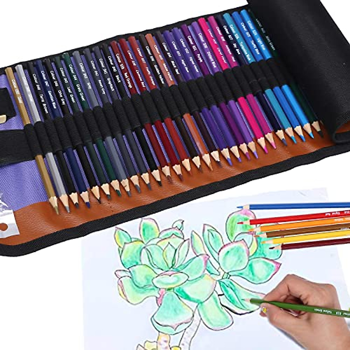 VIKAVAS 50 Colored Pencils Set with Roll Up Canvas Case for Adults Kids Coloring, Drawing, Sketching