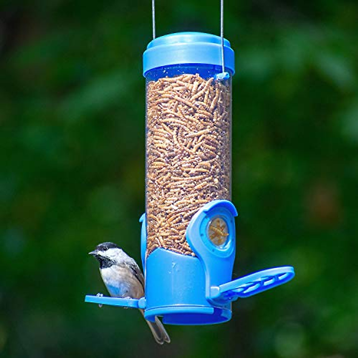 Perky-Pet 388F Dried Mealworm Bird Feeder with Flexports