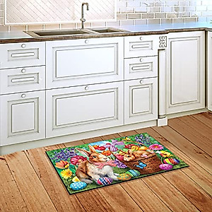 Briarwood Lane Bunnies and Basket Easter Doormat Indoor Outdoor 30" x 18"