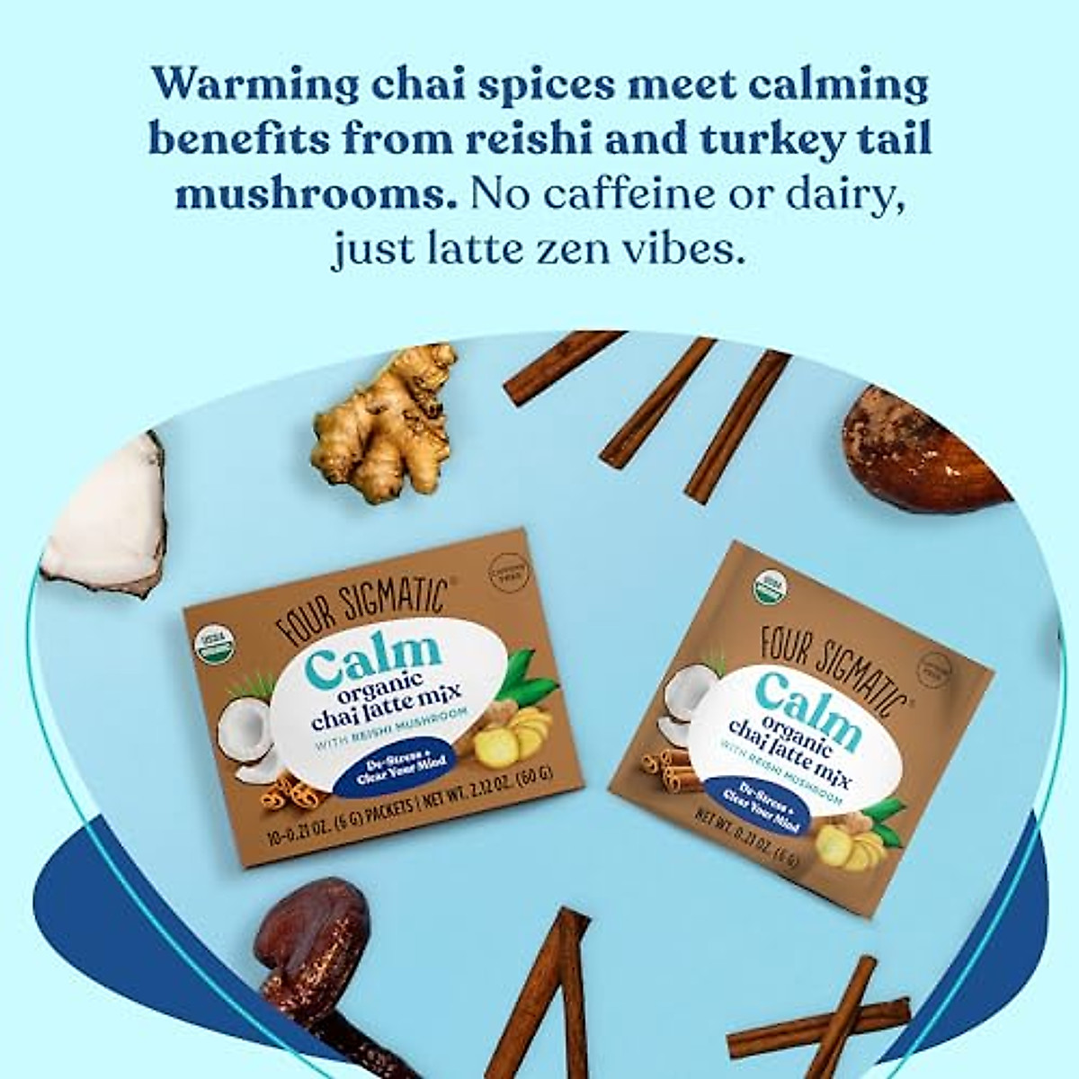 Chai Latte by Four Sigmatic | Organic Instant Chai Latte with Turkey Tail, Reishi Mushrooms & Coconut Milk Powder | Supports Gut & Digestion Health | Decaf, No Dairy & Gluten-Free | 10 Count