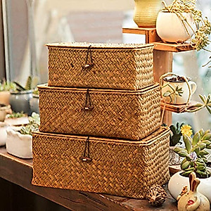 WINOMO 3 Pcs Woven Storage Chests with Lid & Button Hand- woven Rattan Desktop Storage Box Storage Basket