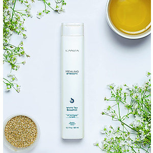 L'ANZA Healing Strength White Tea Shampoo, Shampoo For Dry, Damaged Hair, Boosts Shine, Strengthens, Protects and Restores Weak, Fragile, and Aged Hair Against Split Ends & Frizz Control (10.1 Fl Oz)