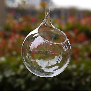 Ivolador Hanging Plants Glass Terrarium Container 4.7 Inches Air Plant Holder Succulents Globe Shape Home Garden Décor- 3 PCS