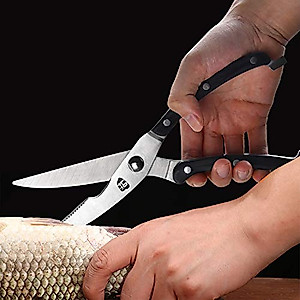 TUO Kitchen Shears - Heavy Duty Kitchen Scissors, Multi-functional Shears for Bone Poultry Meat Fish - German Steel & Pakkawood Handle with Safety Lock - Falcon Series with Gift Box