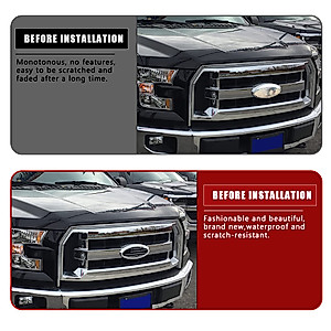 Car Emblem for Ford, 9INCH Front Grill Decal Tailgate Emblem Oval 9X3.5INCH Badge Replacement for F-150 2004-2014 F-250/F-350 2005-2007 Explorer 2011-2016 Edge 2011-2014 EXPEDITION RANGER