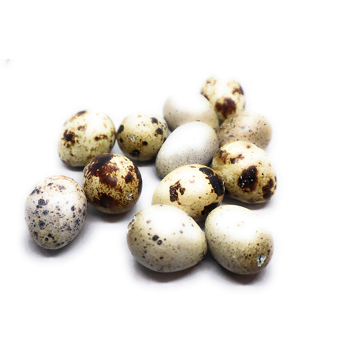 Fresh Quail Eggs from organically fed Quail (24 Count)