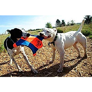 Chuckit! Flying Squirrel Spinning Dog Toy, Large (Orange/Blue), Multi Colored, for Medium breeds