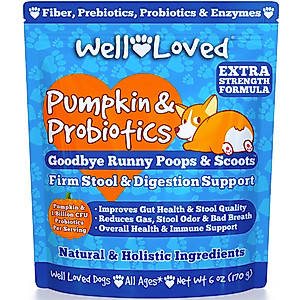 Well Loved Pumpkin & Probiotics Plus Probiotic Chews Bundle, Dog Probiotics and Digestive Enzymes, Dog Digstive Support