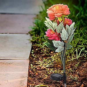 PBOHUZ Solar Flower Light - Solar Power LED 3 Heads Simulation Peony Rose Flower Light for Home Garden Lawn Decor