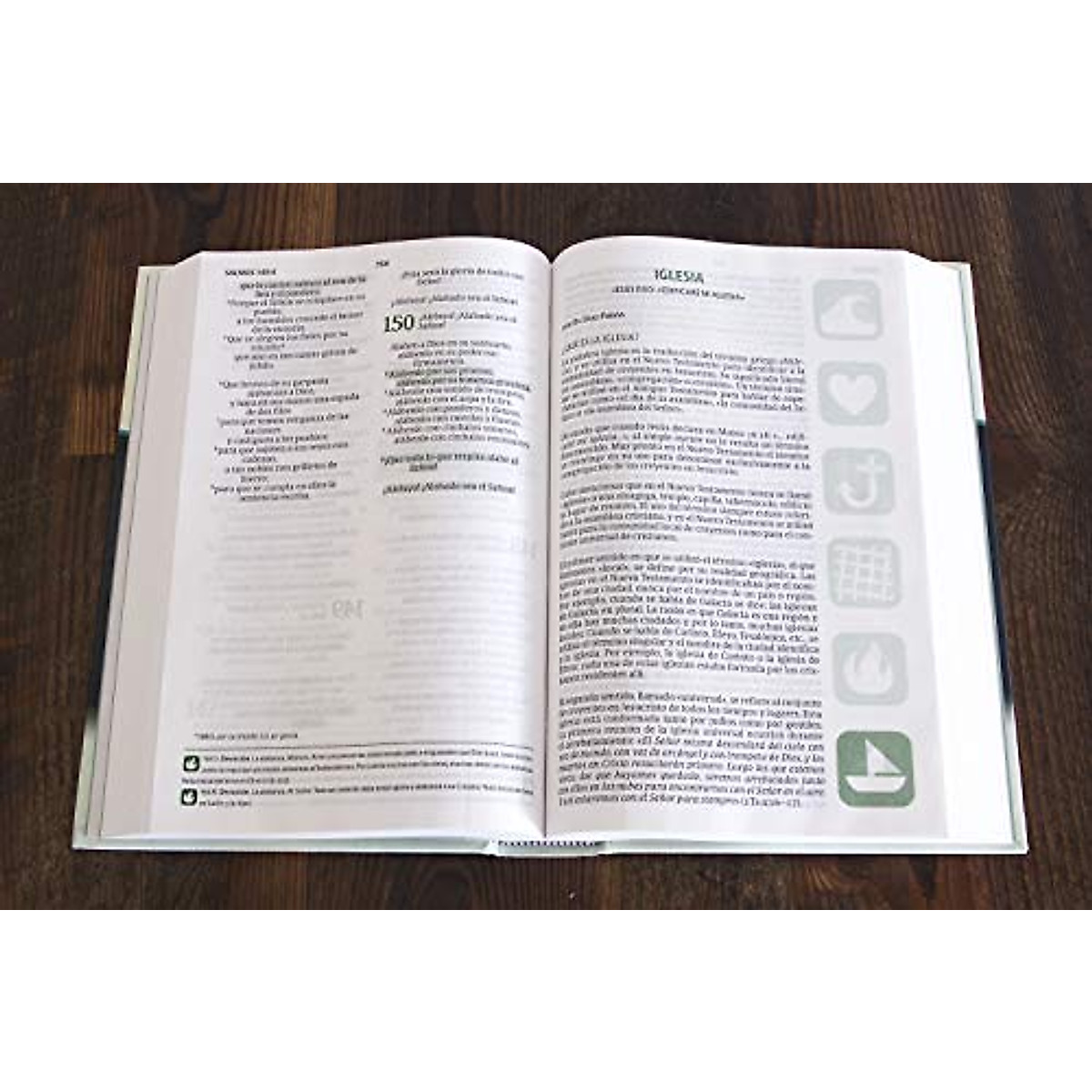 Nueva Versión Internacional Biblia del Pescador, letra grande, verde tapa dura | NVI Fisher of Men Bible, Large Print, Green, Hardcover (Spanish Edition)