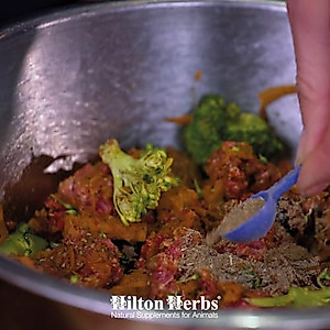 Hilton Herbs Canine Digest Support Supplement for Dogs, 4.4 oz Tub