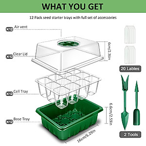 YAUNGEL Seed Starting Trays, 12 Pack 144 Cells Thicken Seed Starter Tray Kit with Humidity Dome/Clear Lids Durable Growing Trays for Greenhouse & Gardens, Green