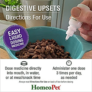 HomeoPet Digestive Upsets Natural Pet Digestive Support, Supports Temporary Relief from Digestive Problems, 15 Milliliters