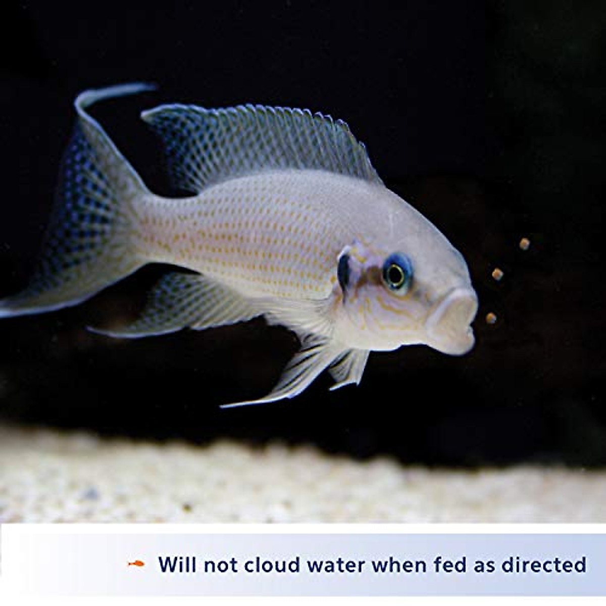 Aqueon Cichlid Food Color Enhancing 4.5 Ounces Color