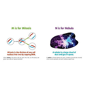 ABCs of Science: The Essential ABC Board Book of First STEM Words from the #1 Science Author for Kids (Science Gifts for Kids) (Baby University)