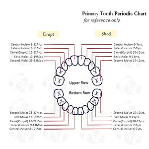 Baby Tooth Box Keepsake for Girls,Wooden Tooth Storage and Saver Box for Lost Teeth Children,Newborn Baby Birthday and Shower Gift