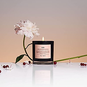 Les Boy Smells Candle | 50 Hour Long Burn | Coconut & Beeswax Blend | Luxury Scented Candles for Home (8.5 oz)