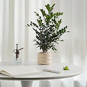 SANDYBAYTAS Ceramic Plant Pot Indoor, 4.5 Inch Beige Unglazed Flower Pot with Drainage Hole, Small Bubble Design Ceramic Planter for Home & Office Decor