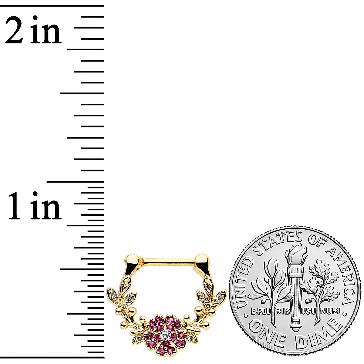 Body Candy Womens 16G PVD Steel Septum Jewelry Pink Accent Vine Flower Daith Tragus Cartilage Clicker 3/8"