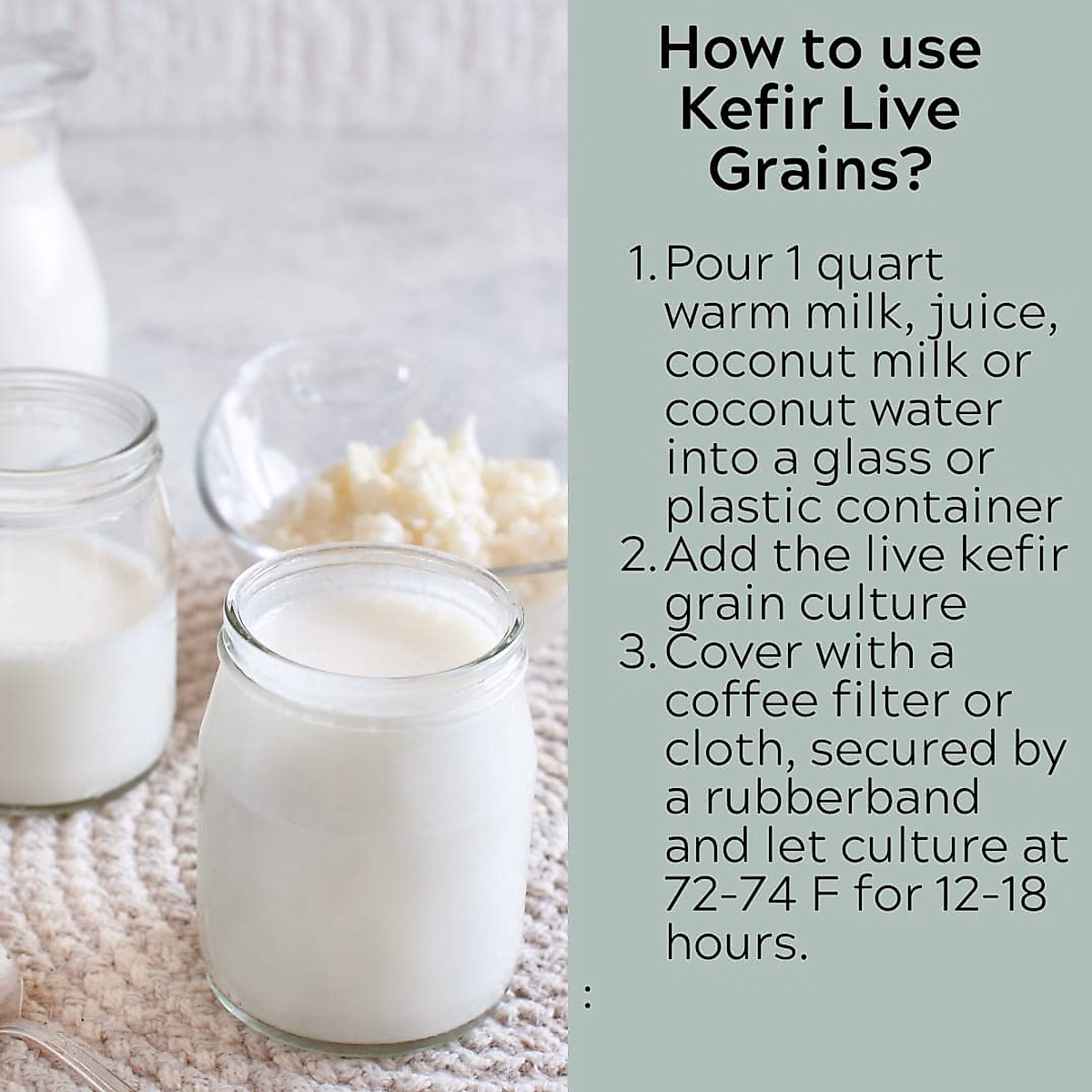 Milk Kefir Grains, Turkish Strain, Bulgaros, Pajaritos, Live Probiotic Starter. Kantu Live Starter Milk Kefir Grains: Cultivate Your Wellness with Probiotic Perfection at Home