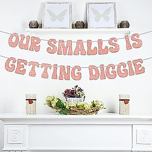Our smalls is getting biggie banner, 1st Birthday Decorations，Notorious The Big One Biggie 1st Birthday Decor For Kids, Hip Hop Theme First Birthday Baby Shower Party Supplies Rose Gold Glitte.