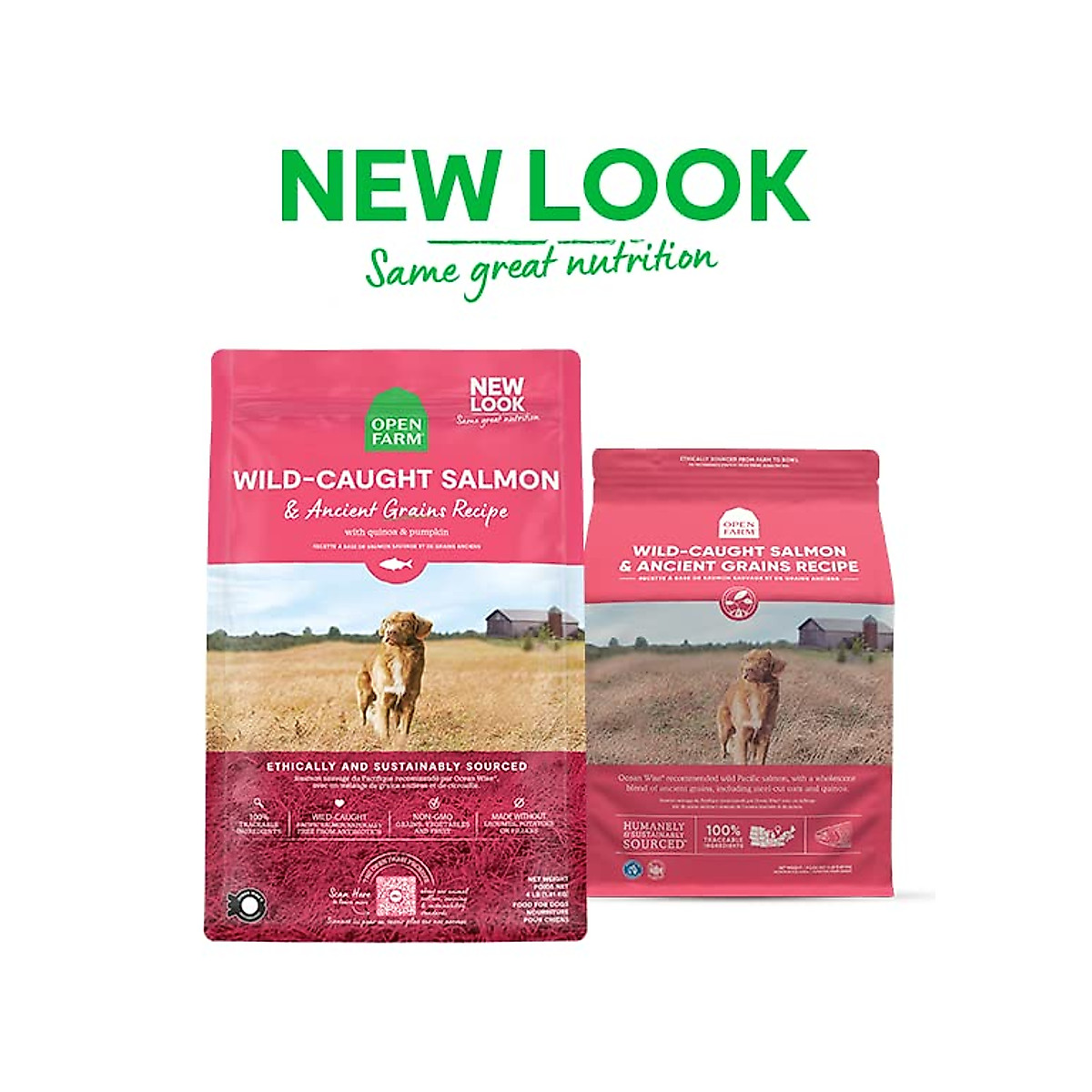 Open Farm Wild-Caught Salmon & Ancient Grains Dry Dog Food, Sustainably Fished Salmon Recipe with Wholesome Grains and No Artificial Flavors or Preservatives, 4 lbs