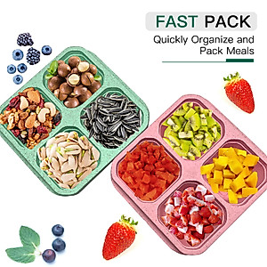 HNXAZG 4 Pack Snack Containers, 4 Compartment Bento Snack Box, Reusable Lunch Containers, Divided Food Storage Containers for Work Trips