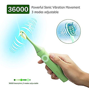 MICESHU Sonic Electronic Toothbrush for Adults, Cleaning with 3 Modes IP67 Waterproof Rechargeable Toohthbrush with 2pcs Replacement Dupont Brush Heads (Green)