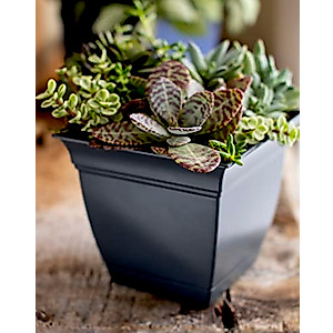 The HC Companies 12 Inch Eclipse Square Planter with Saucer - Indoor Outdoor Plant Pot for Flowers, Vegetables, and Herbs, Black