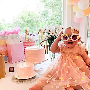 Toddler Baby Girl Daisy Tulle Dress Infant Sleeveless Layered Tutu Dress Pink 6-12 Months