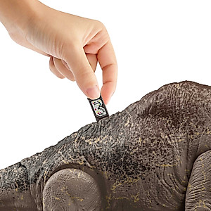 Mattel Jurassic World Dominion Brachiosaurus Dinosaur Action Figure, 32-in Long Toy with Posable Joints (Amazon Exclusive)