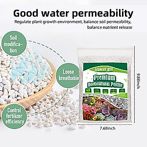 2QT Perlite for Plants Organic Perlite Horticultural Soil Amendment for Indoor & Outdoor Container Plants and Enhanced Drainage Enhanced Growth, Promote Root Growth and Soil Health