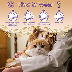 2 Pack Cat Calming Collar for Cats Pheromone Collar Efficient Relieve Reduce Anxiety Stress Pheromones, Calm Relaxing Comfortable Collars, Adjustable Breakaway Design (Purple)