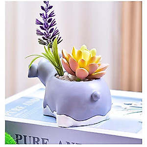 Cute Schnauzer Puppy Sleeping Pet Flowerpot with Drainer Garden Flowerpot Resin Succulent Potted Bonsai Plant Stand Home Desk Mini Ornaments Balcony Gardening Flowerpot Does Not Contain Plants