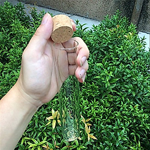 Glass Bottles Vials Jars Test Tube With Cork Stopper Empty 110ml Jars Glass Transparent Clear Bottles Corks 12units (110ml)