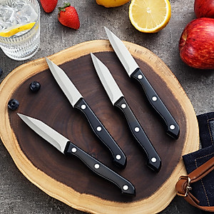 BEWOS 4-Piece Paring Knife Set, 3.5 Inch Paring Knives with Ergonomic Handle, Triple Rivet Paring Knife, Cutting Knife & Peeling Knife for Vegetable and Fruit, Kitchen Knives, Stainless Steel/Black
