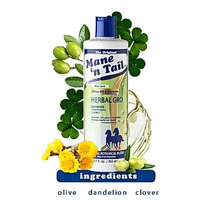 Mane N Tail Herbal Gro Shampoo, 12 Ounce