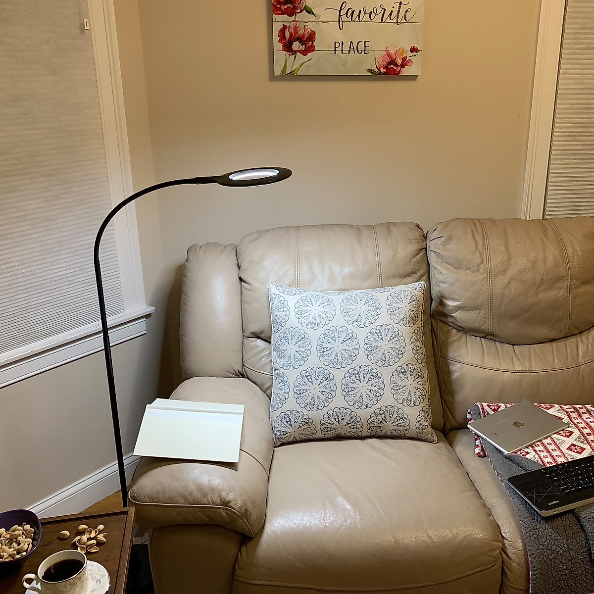 Bright Floor Lamp for Office, Reading and Bedrooms. LED Floor Lamp for Lash Light for Eyelash Extensions, Makeup & Nail Spa. Gooseneck Standing Lamp (Black)