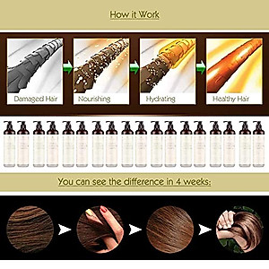 Argan Oil Shampoo and Conditioner Set (2 x 16.9 Oz) - MagiForet Organic Shampoo & Conditioner Sulfate Free - Volumizing & Moisturizing, Gentle on Curly & Color Treated Hair,For Men & Women (cd set)