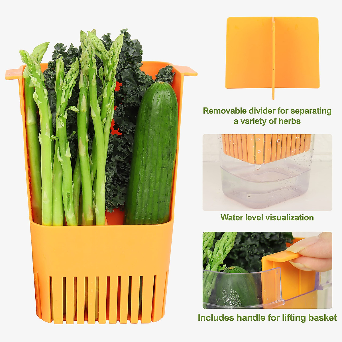 LUVCOSY Fresh Herb Keeper for Refrigerator, Clear BPA-Free Herb Saver, Storage Container for Cilantro, Parsley, Thyme, Mint & Asparagus, Preserver Keeps Fresh Herbs for 3 Times Longer, Green & Orange