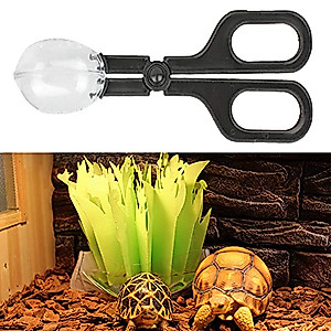 SWENSENLin 3 Pieces Reptile Feeding Clip Tongs Reptile Feeding Scooper Clamp Lizard Beetle Insect Catch Clamp for Tortoise Lizard Frog Spider Tarantulas