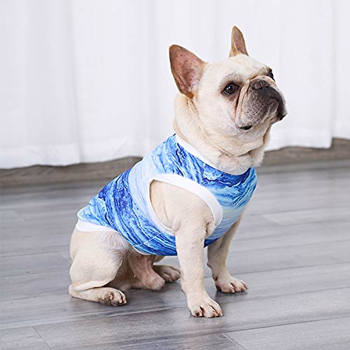 DORA BRIDAL Dog Cooling Vest Instant Pets Cooling Collar Cat Chill Out Ice Shirt for Dogs Puppy Cats in Summer S (Blue)